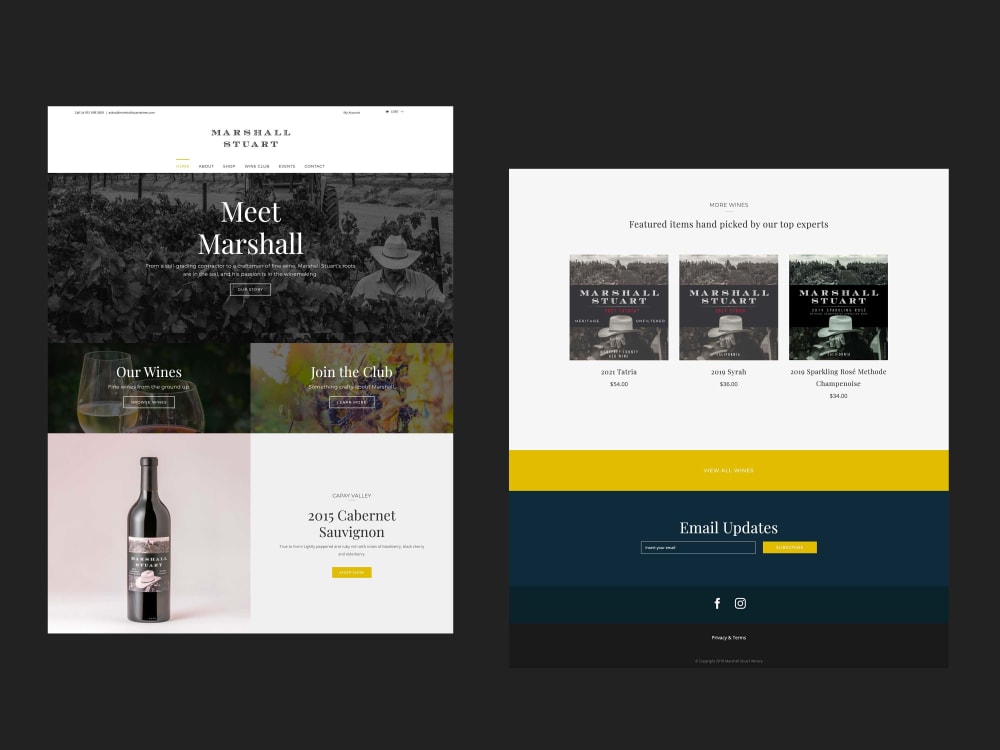 A 5 page website design. It will include copy and stock photos for $5k ...
