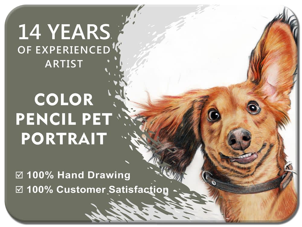 An attractive color pencil portrait of your pet | Upwork