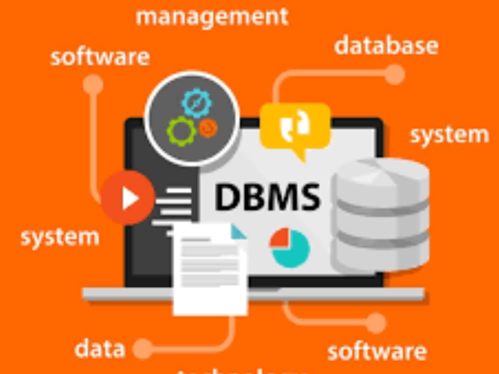 A Database Design and Management. | Upwork