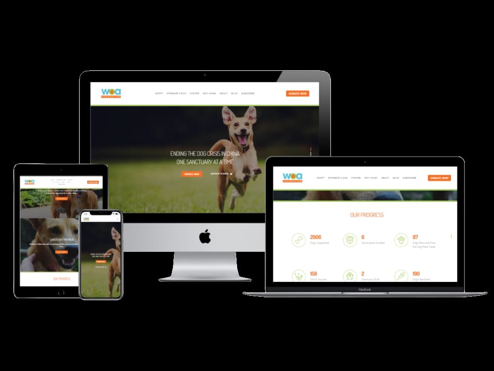 Responsive HTML CSS website design / developer, PSD to html bootstrap | Upwork