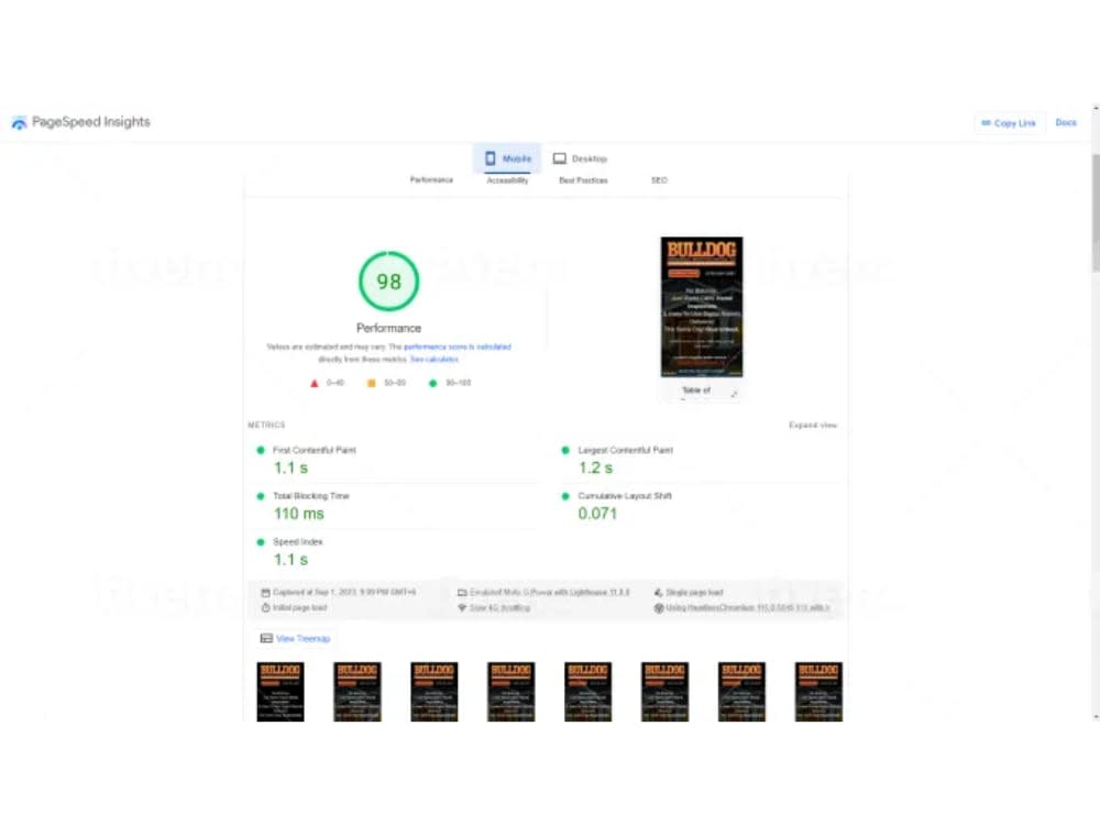 WP speed Optimization | Core Web Vitals ( Core Web Vital ) 100%Fixed | Upwork