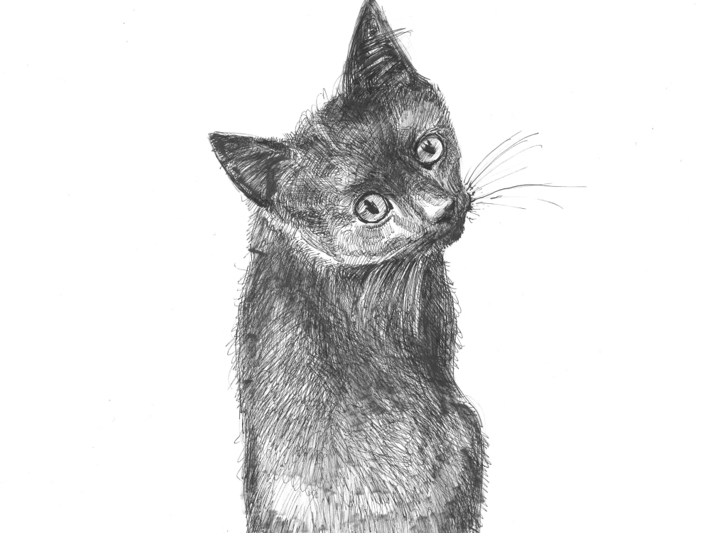 A fantastic free hand drawing of your pet | Upwork
