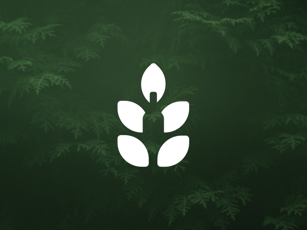 A simple and memorable logo and brand identity | Upwork