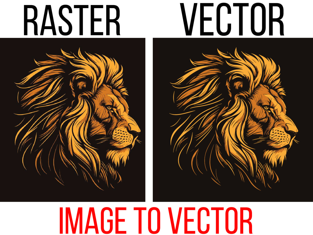 Manual vector tracing or vector tracing and trace vector for you | Upwork