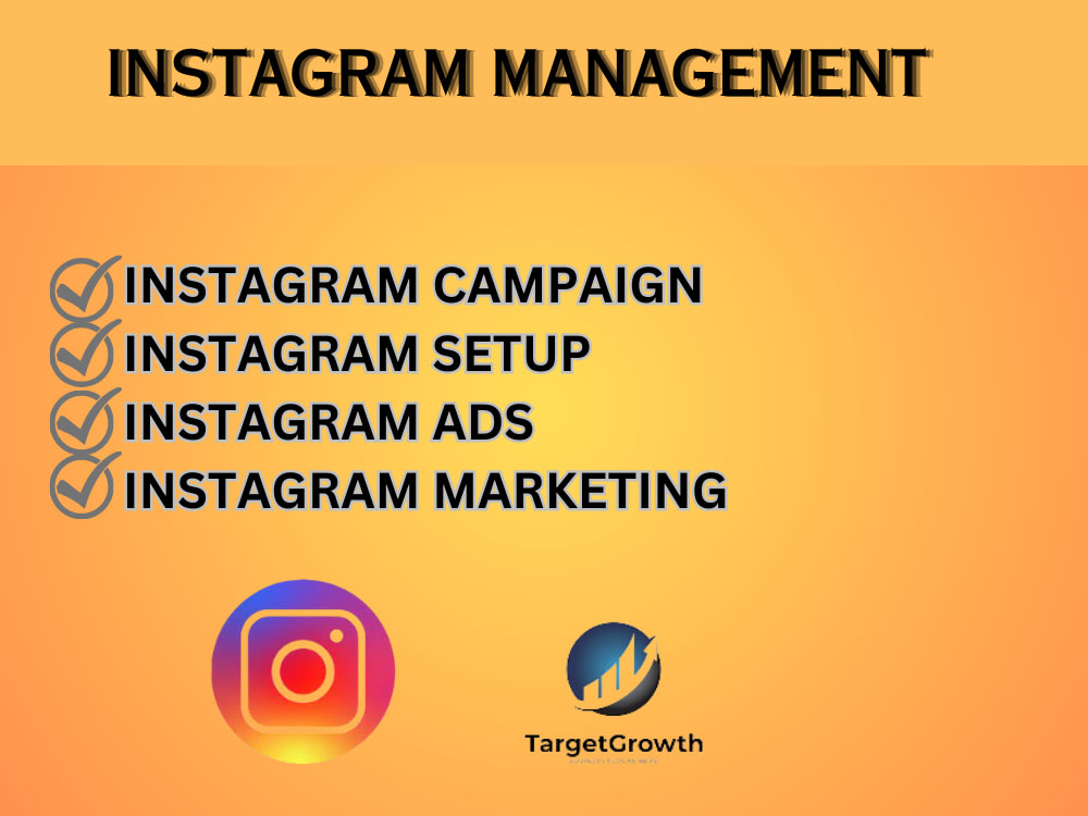 Instagram setup, Instagram ads, Instagram promotion | Upwork