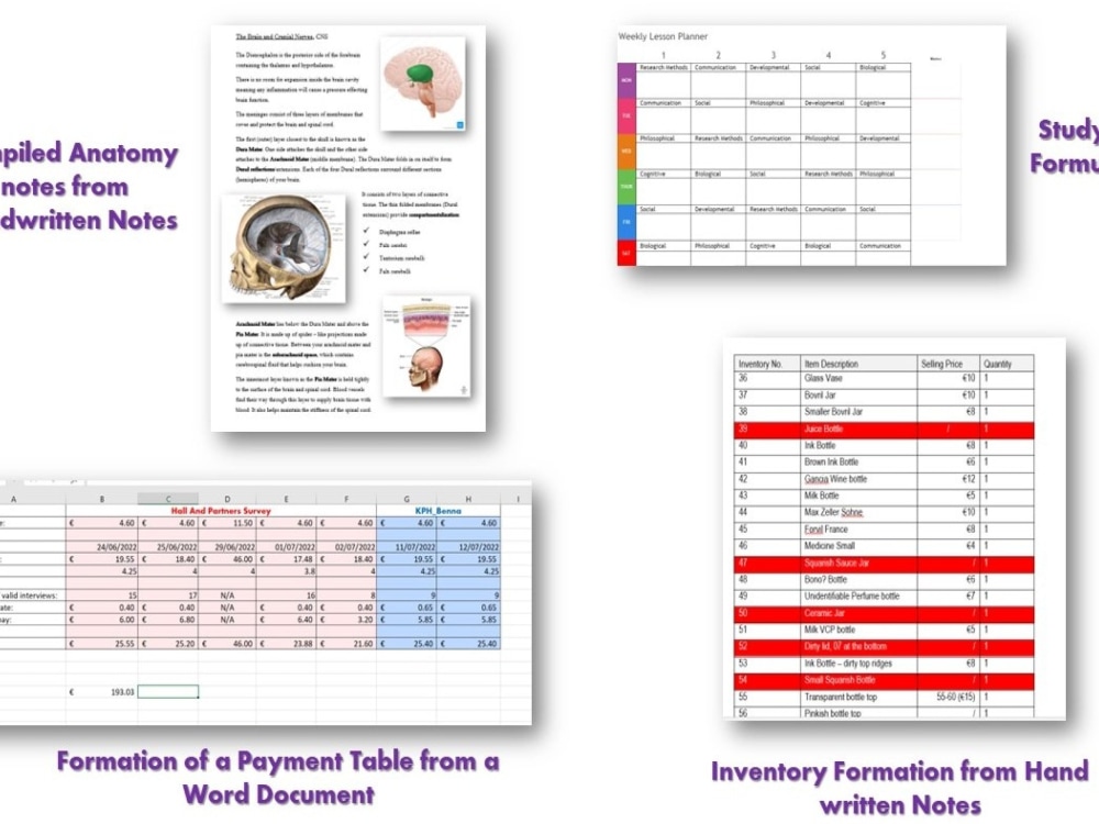 Streamlined Information: Precision Data Entry and Document Organization ...