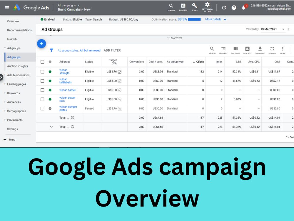 Highly Targeted Audience Google Ads PPC Campaign | Upwork