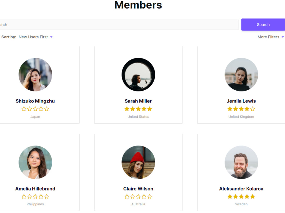 Any Ultimate Member customization within one day | Upwork