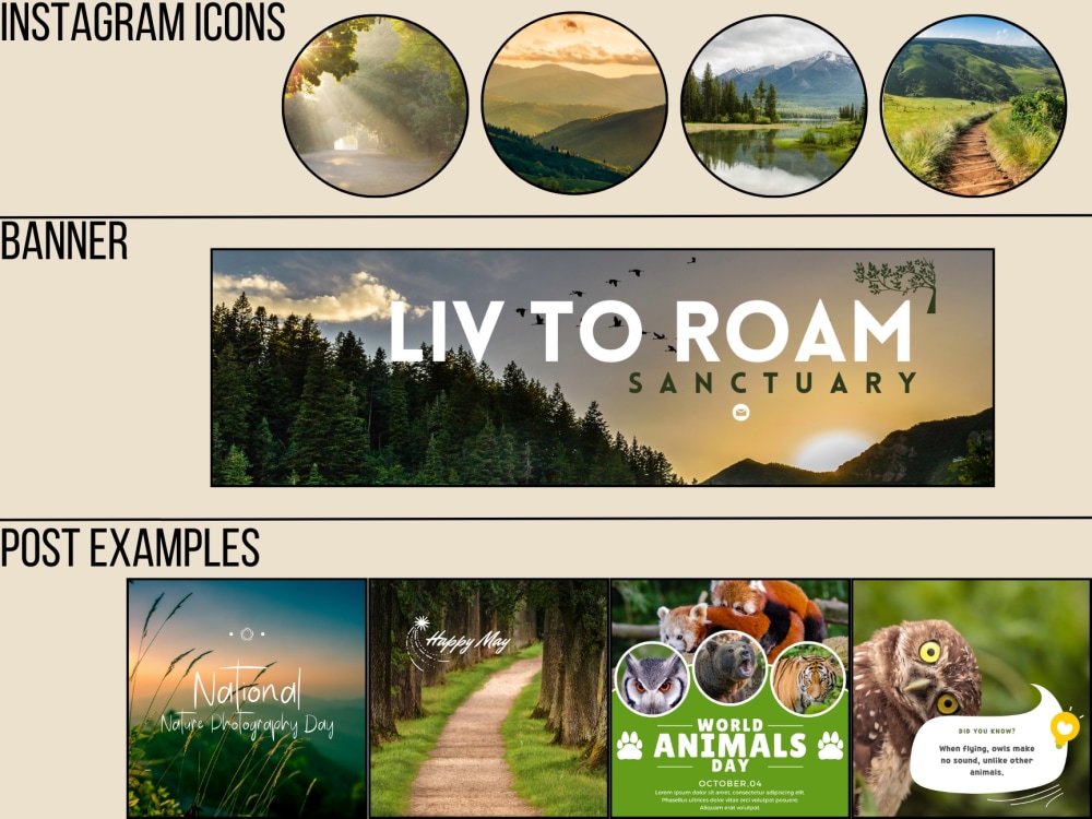 A package that will kickstart your business from idea to reality. | Upwork