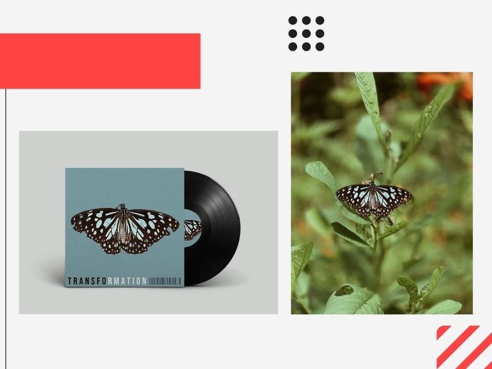 Unique and stunning custom album artwork | Upwork
