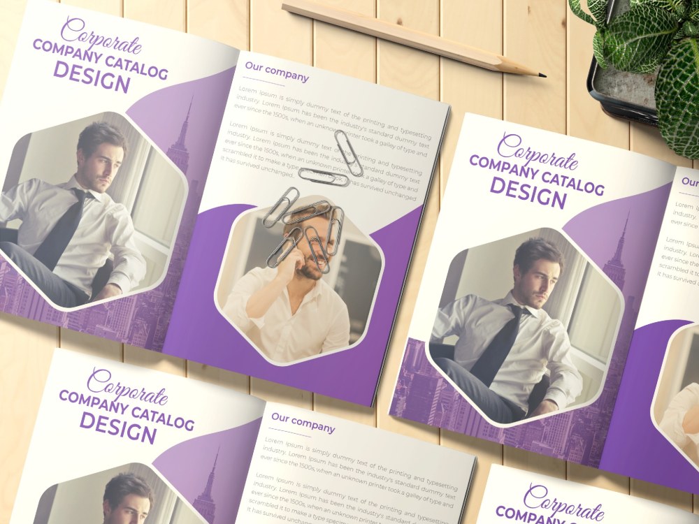 Product catalog design and company profile for your business. | Upwork