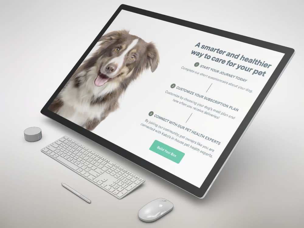 React Js Next Developer Frontend Developer Html Css Scsstailwind Upwork