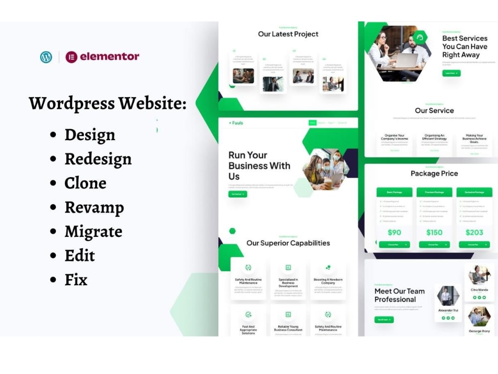 Design, redesign, clone wordpress website, landing page by elementor pro | Upwork