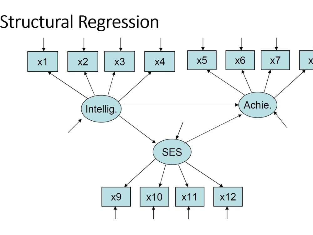 SEM Analysis on SPSS AMOS | Upwork