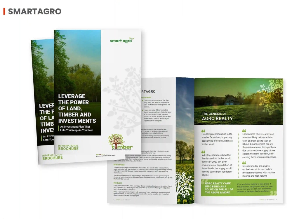 A fantastic design for a flyer, brochure, magazine | Upwork