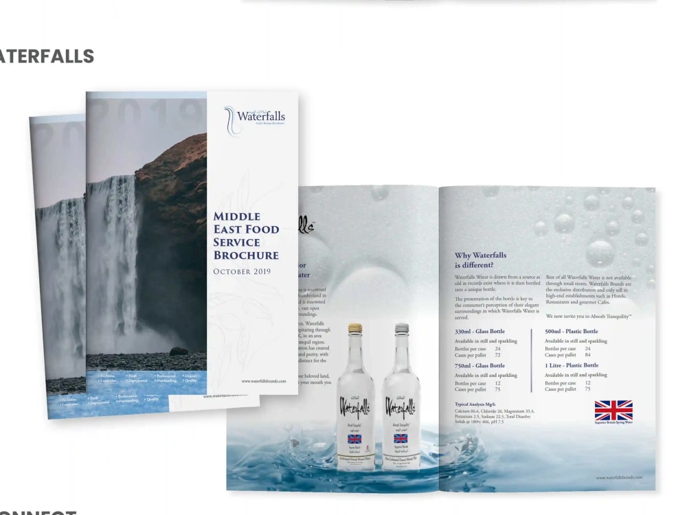 A fantastic design for a flyer, brochure, magazine | Upwork