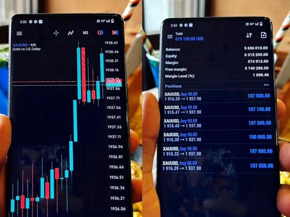 Trading Bot, Forex Bot, Prop Firm Bot | Upwork