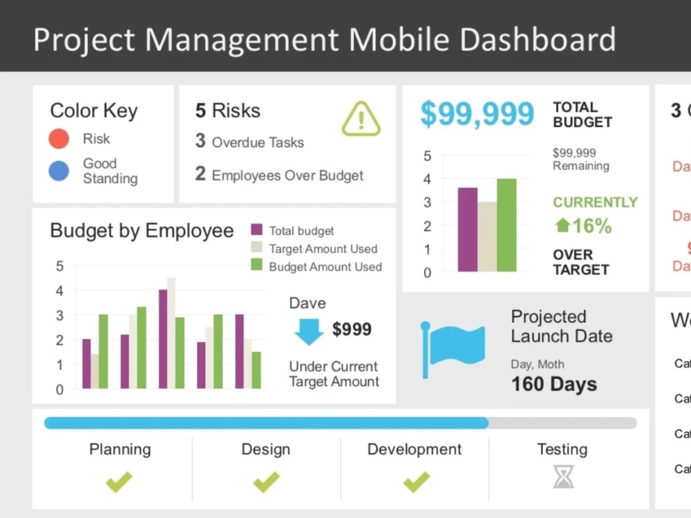 Excel Data Management with Dashboard | Upwork