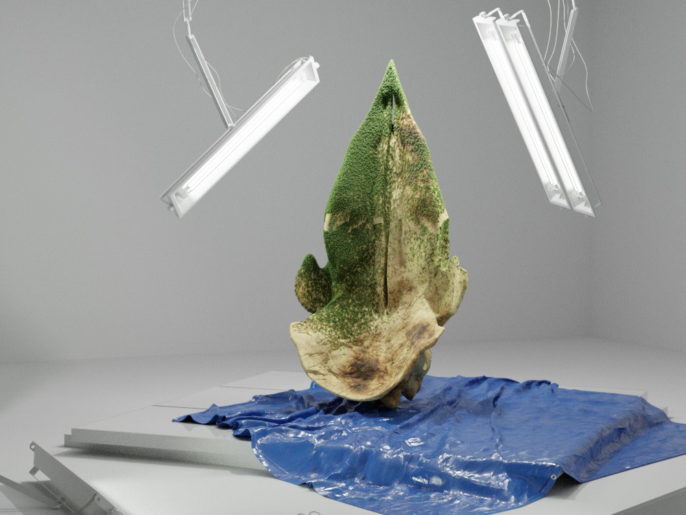 A hyper-realistic 3D rendering of an interior with high attention to ...