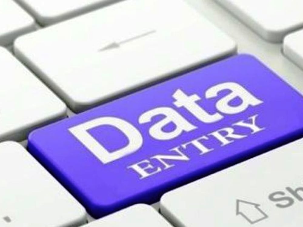 Data entry and Pdf to Excel, Ms Word convert | Upwork