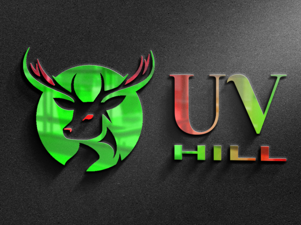 Creative and Modern Eye-Catching Logo for Your Brand Identity | Upwork