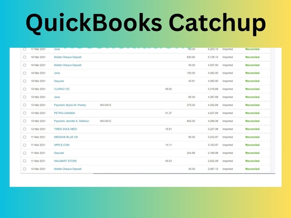 Reconcile Cleanup Catchup Errors Fixing Bookkeeping Using Expert