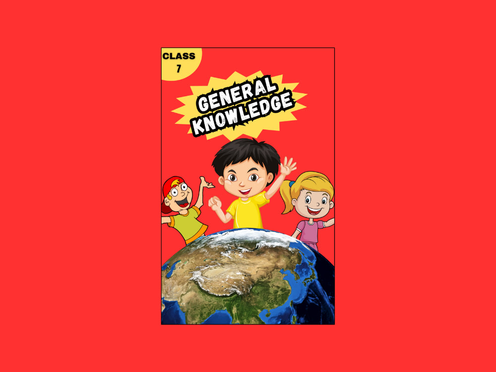 A fantastic and unique book cover design | Upwork