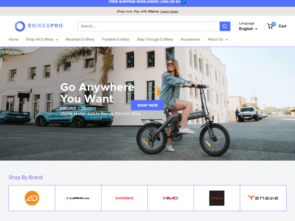 Shopify store design, shopify revamping and shopify store customiztion ...