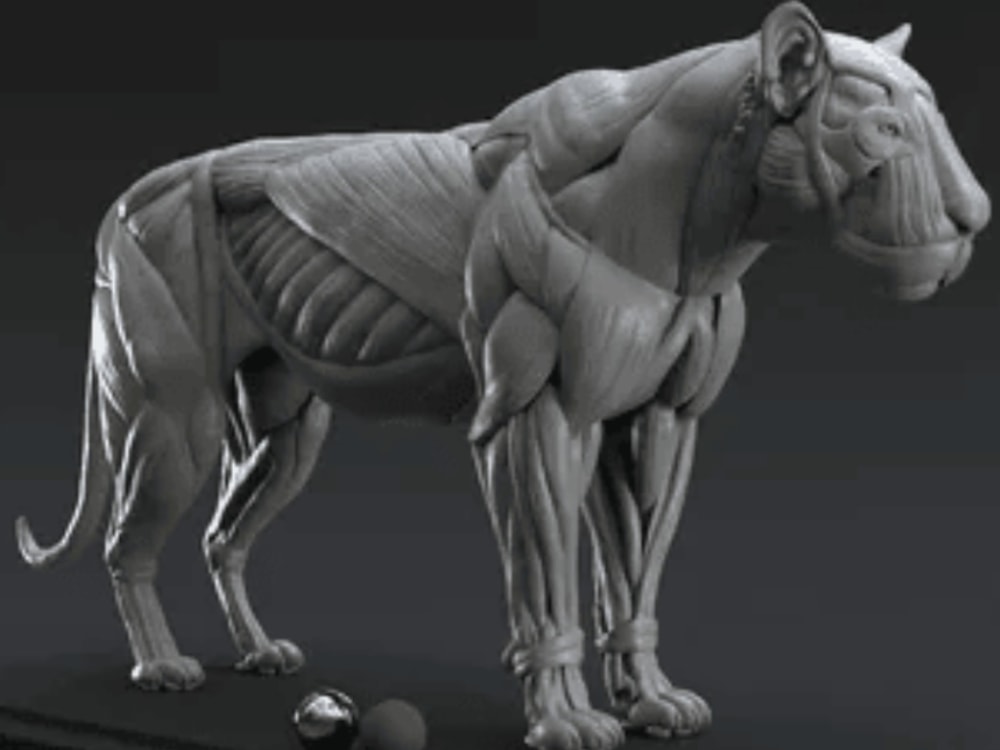 3D realistic animal model 3d character model 3d animal animation design ...
