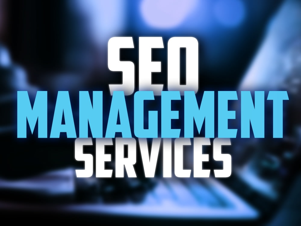 Expert SEO Management Services For Your Website Ranking | Upwork