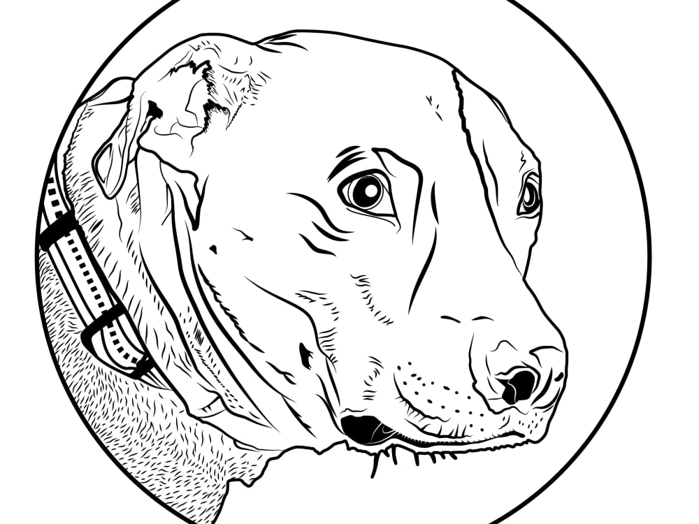 Vector tracing expert, converting raster images to clean, scalable graphics | Upwork