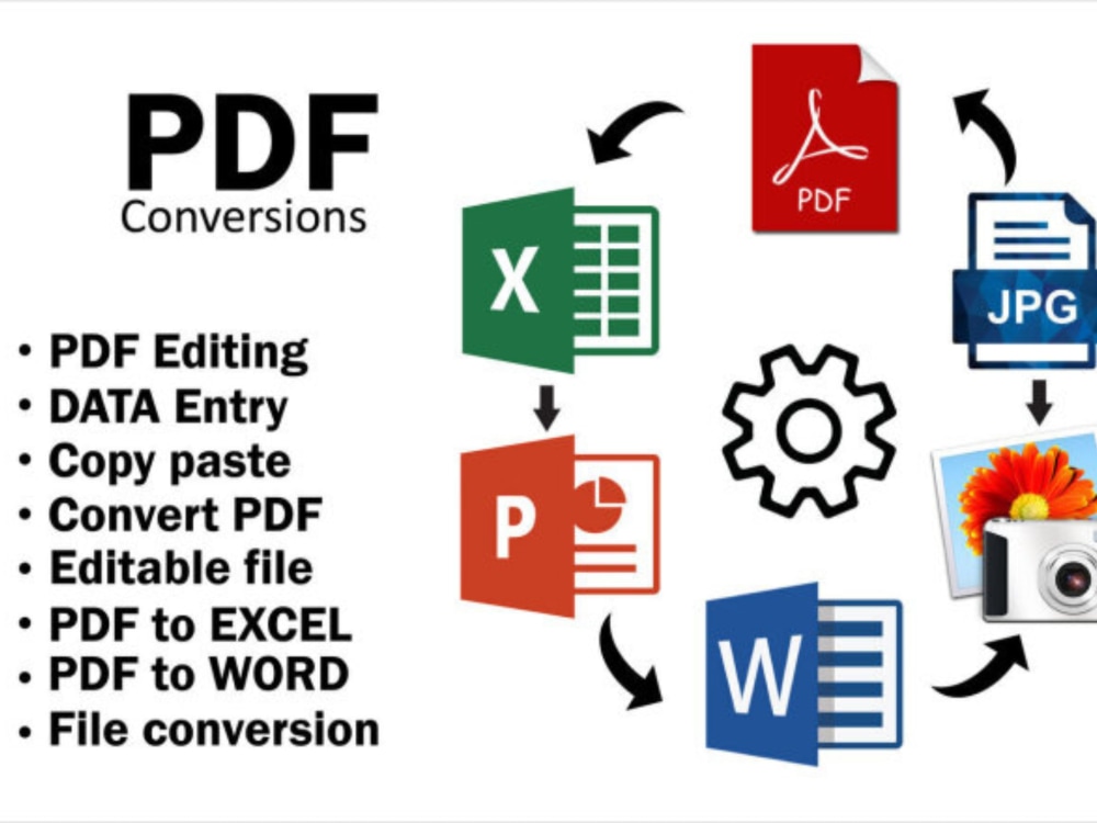 100% accurate retyping and PDF to Excel or Word Conversion | Upwork
