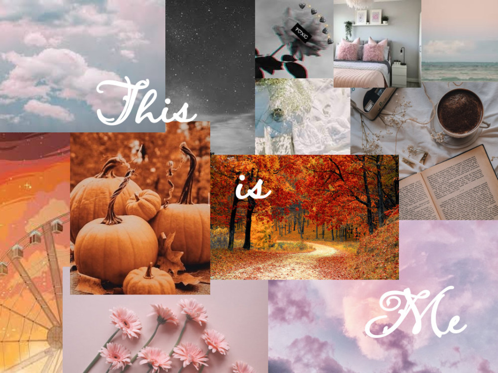 Website and Application UI UX design | Application And Website Development | Upwork