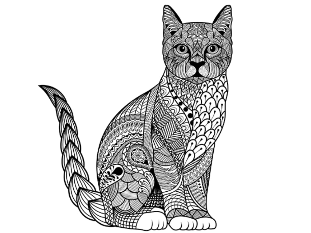 Vector tracing expert, converting raster images to clean, scalable graphics | Upwork