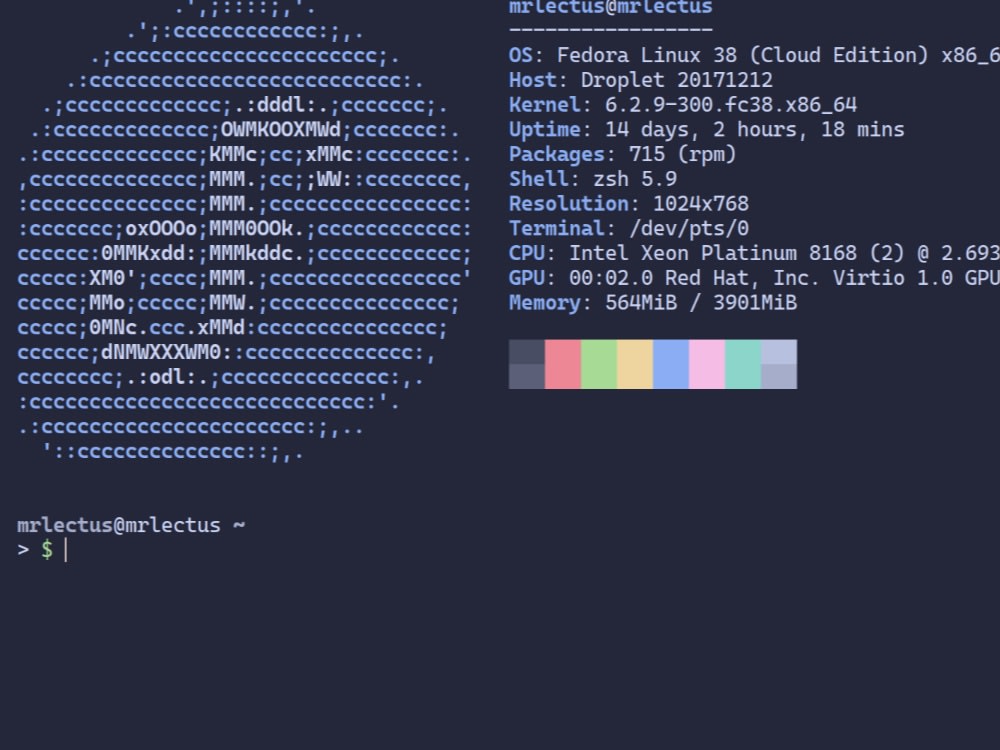 VPS setup for you + L(A|E)MP stack | Upwork