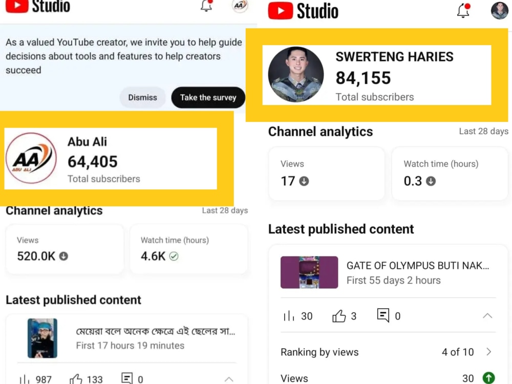 Your Youtube channel promoted subscribe | Upwork