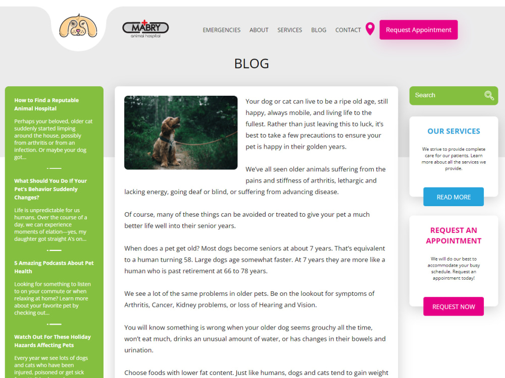 A visually stunning and high-performing website | Upwork