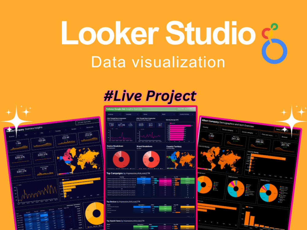 Looker Studio Dashboard and Interactive Visualization, Custom Reports | Upwork