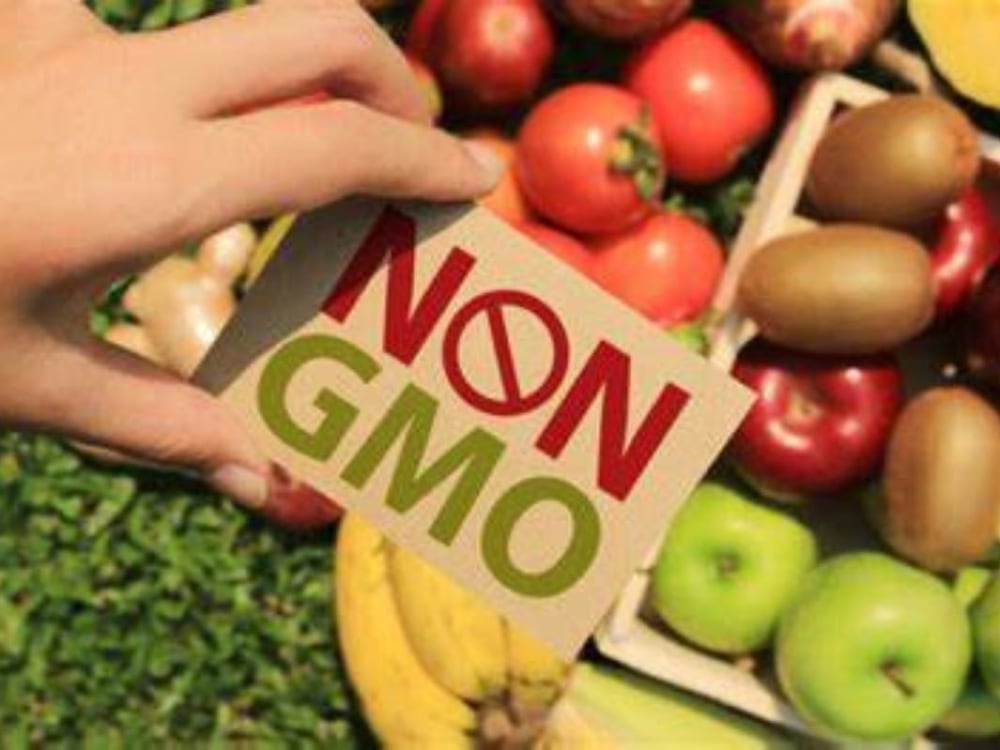 Organic USDA/EU or Non-GMO Certification Consultancy for your Products ...