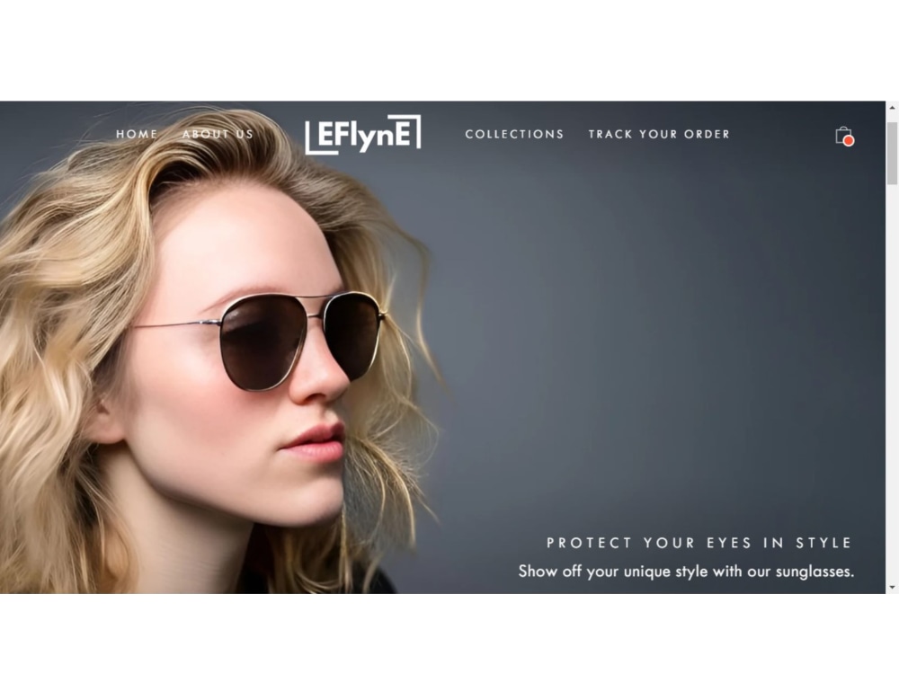 Provide Professional Shopify Dropshipping Store Setup And Customization Upwork