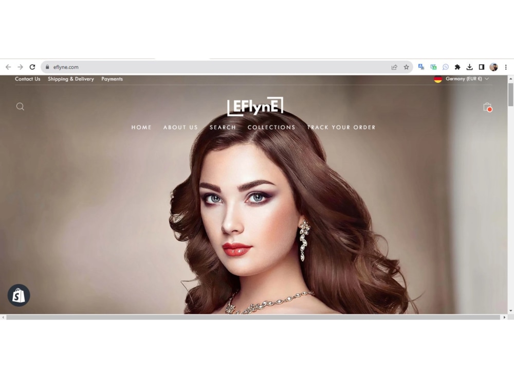 Provide Professional Shopify Dropshipping Store Setup And Customization