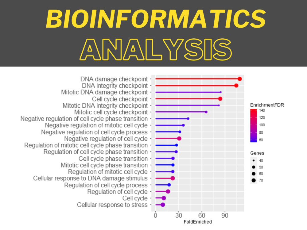 Machine learning analysis for Bioinformatics task | Upwork
