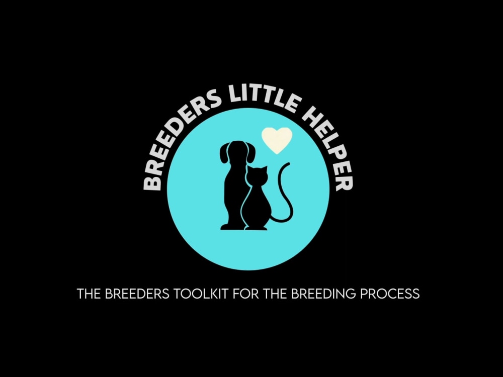 A custom Logo animation | Logo Animator | Logo Intro | Upwork