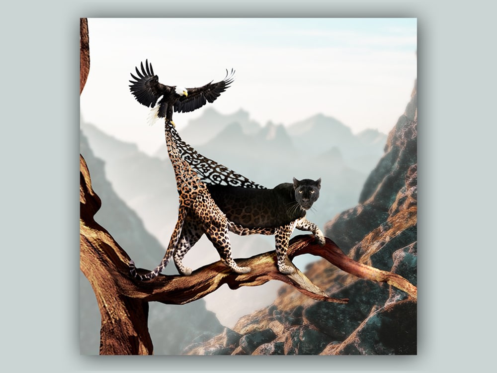 Creative and effective social media creatives | Upwork