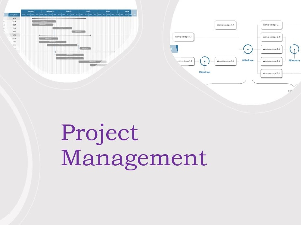 Professional project management Reports and templates. | Upwork