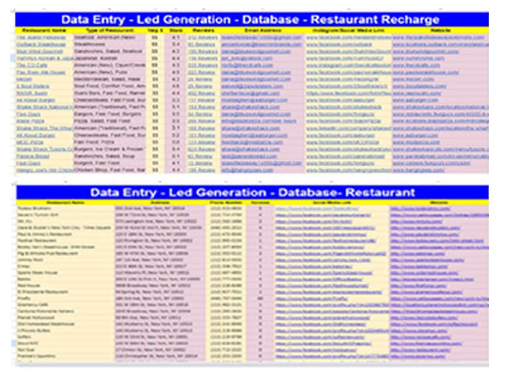 Data entry, translation, PDF, JPG to Word, Copy Past & lead Generation ...