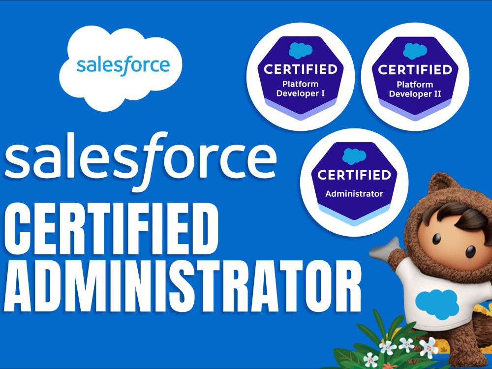 A certified Salesforce Administrator Support | Upwork