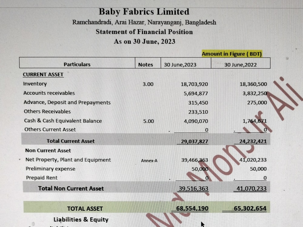 An impressive and accurate Comprehensive Financial Statement | Upwork