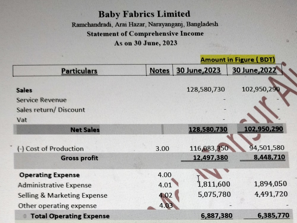 An impressive and accurate Comprehensive Financial Statement | Upwork