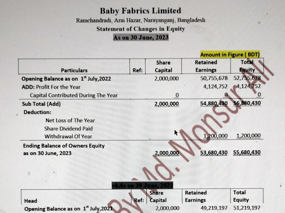 An impressive and accurate Comprehensive Financial Statement | Upwork